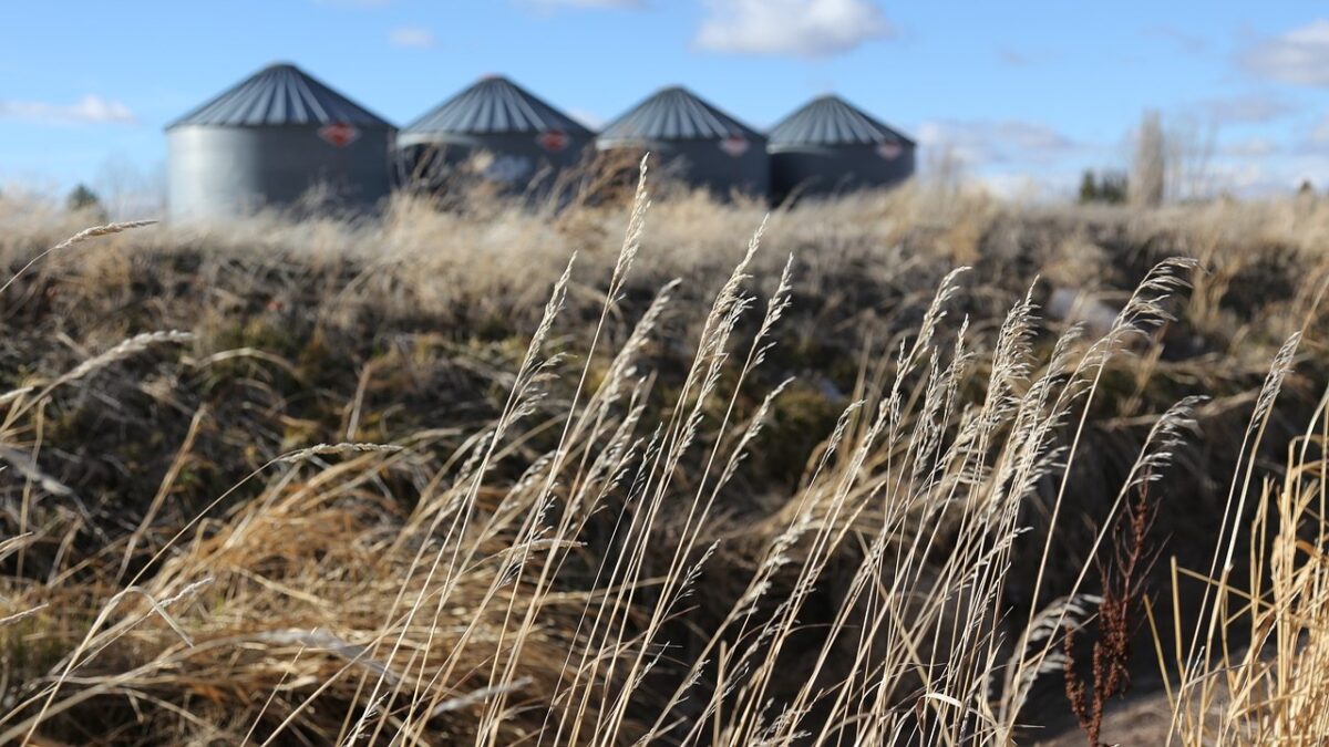 Fire and Grain: Prefire Plans for Grain Handling Facilities – Bluefield ...