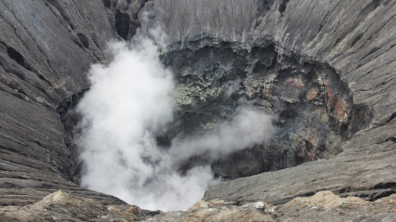 Carbon Dioxide: A Simple Asphyxiant? – Bluefield Process Safety